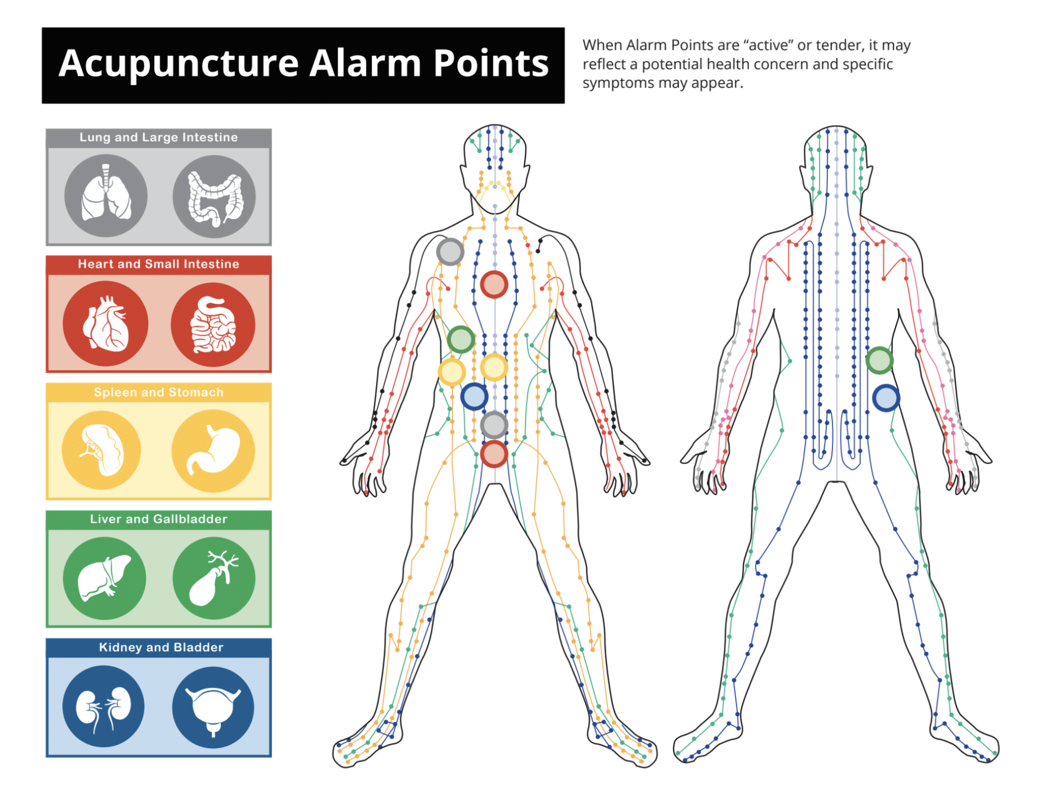 Toolbox - Clinic Forms - AcuDownloads