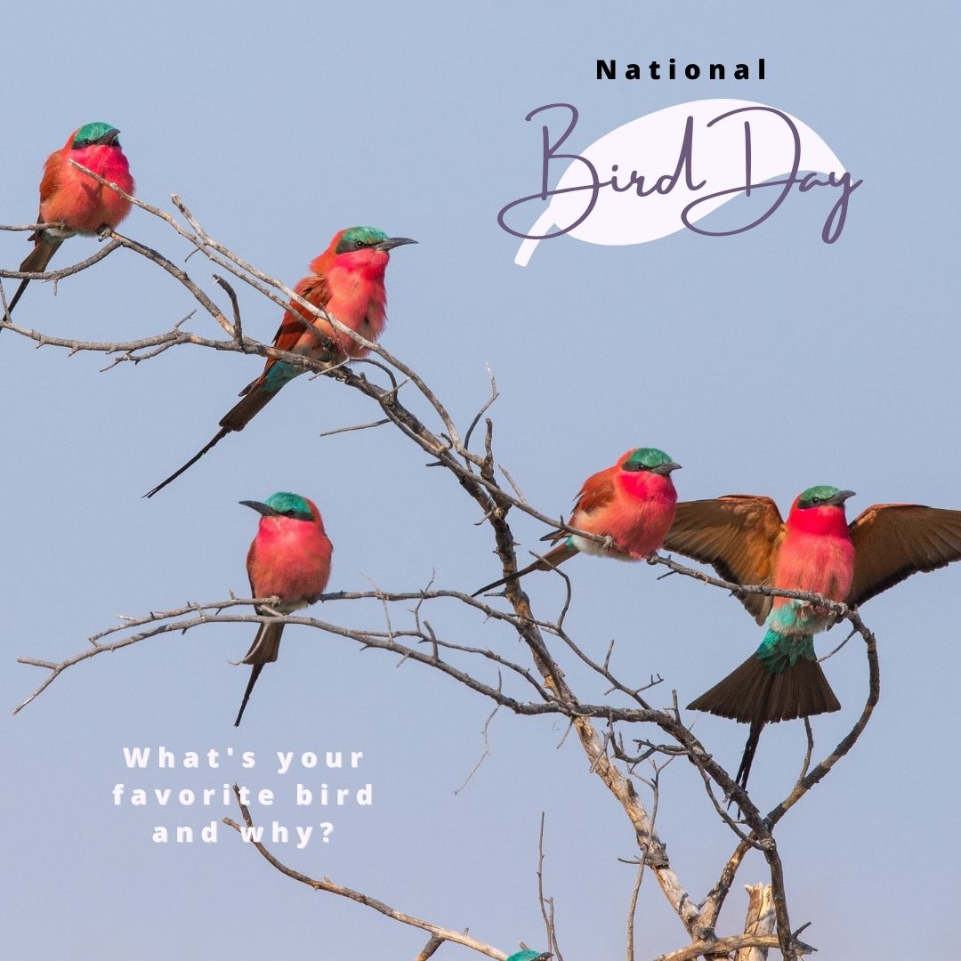 Marketing Calendar - January 2023 - AcuDownloads