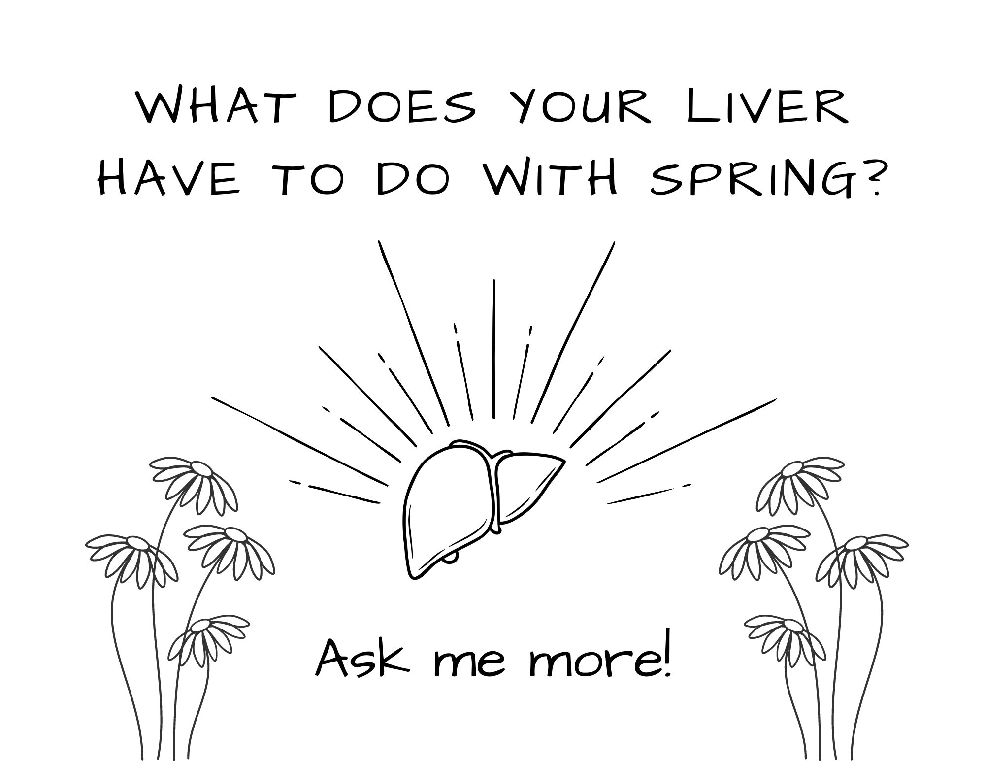 Toolbox – Whiteboards – AcuDownloads